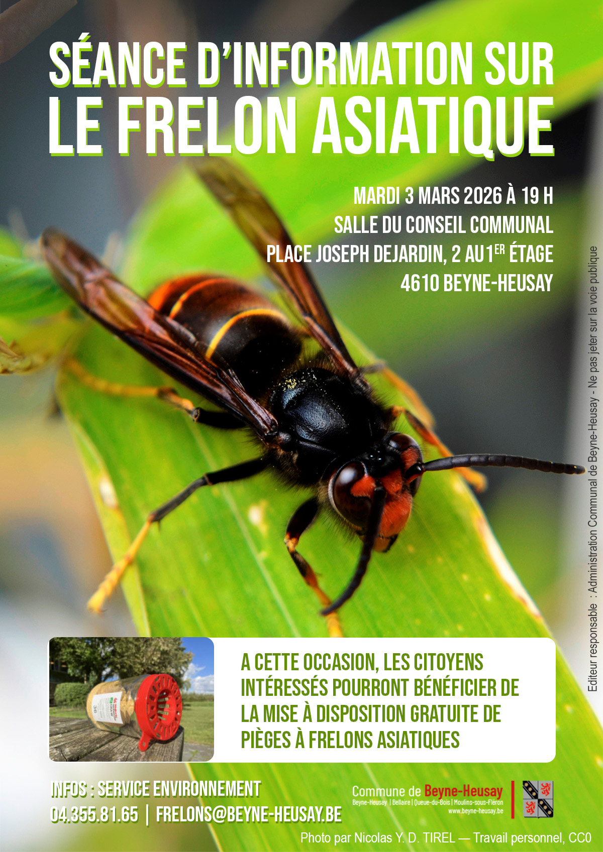 Séance d'informations sur le frelon asiatique | Commune de Beyne-Heusay